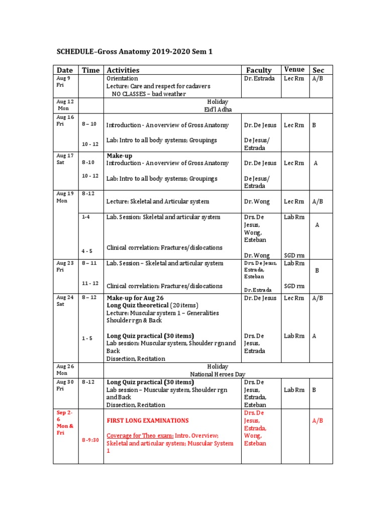 SCHEDULE-Gross Anatomy 2019 | PDF | Peritoneum | Abdomen