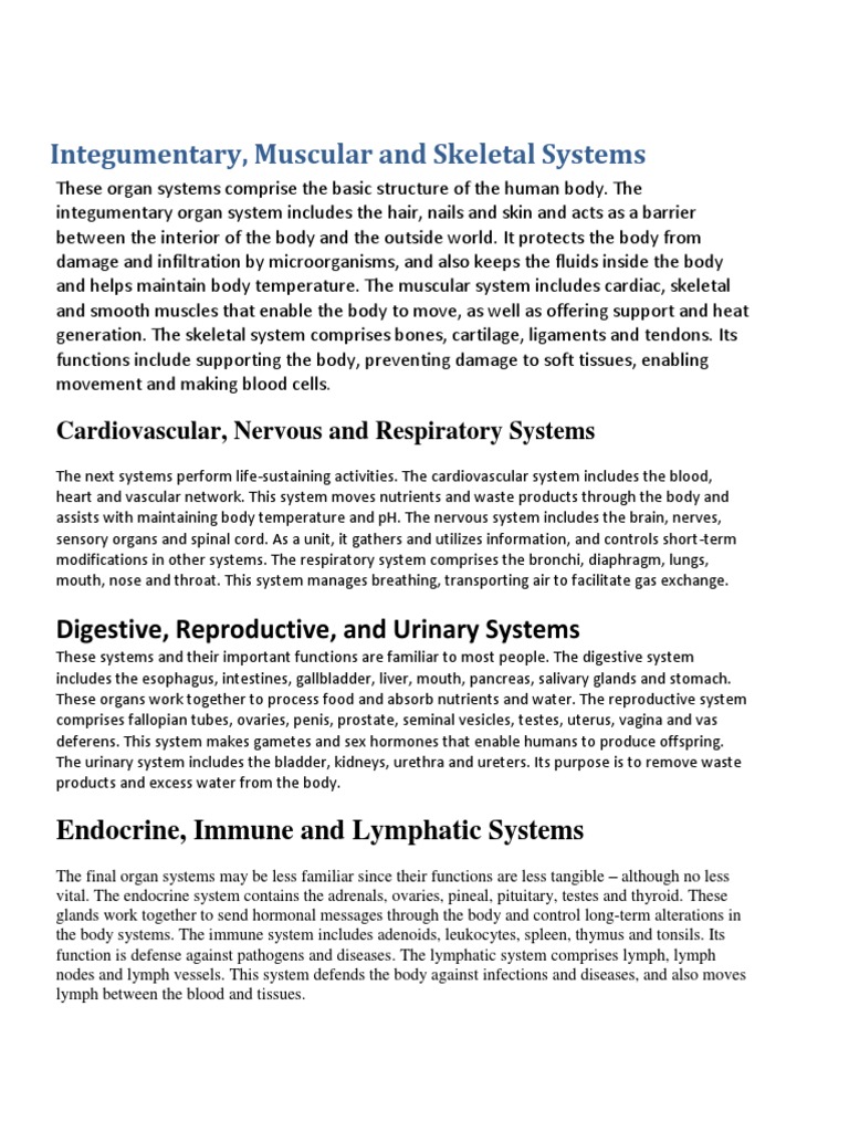 Integumentary, Muscular and Skeletal Systems | PDF | Human Body ...