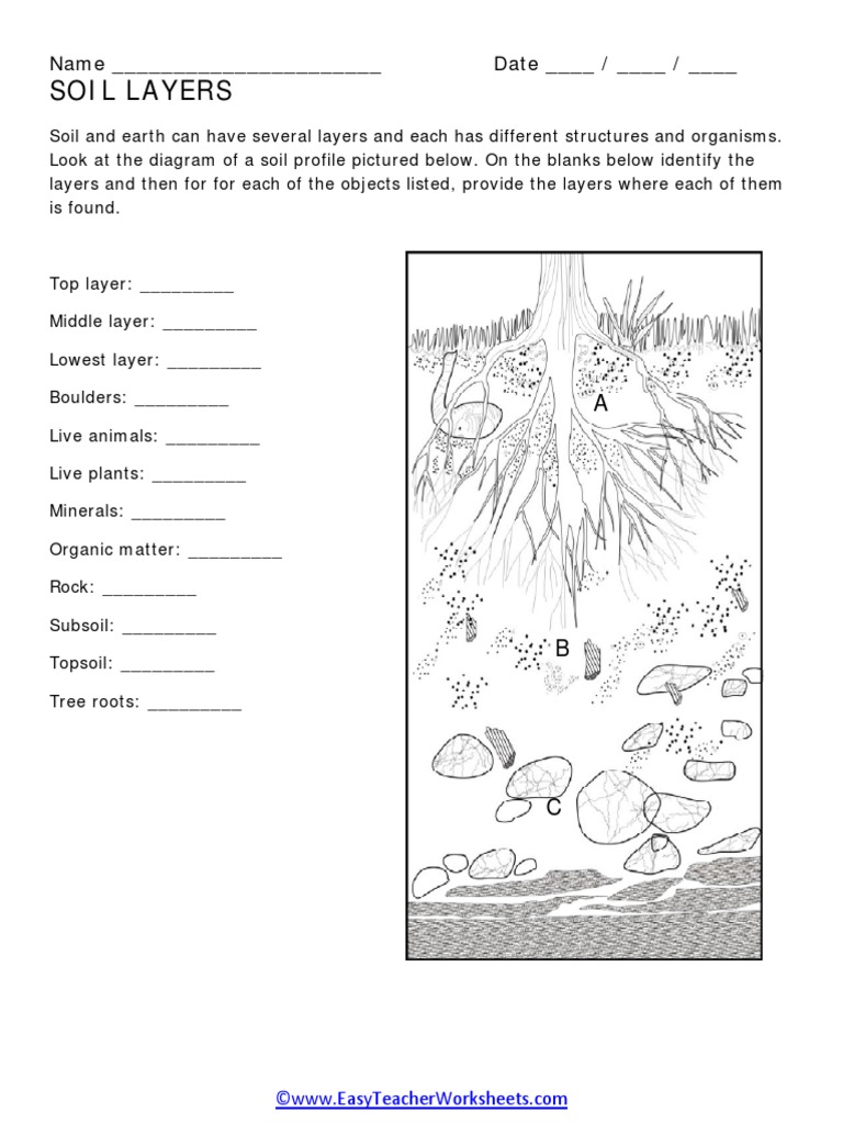Soil Layers: Name - Date | PDF