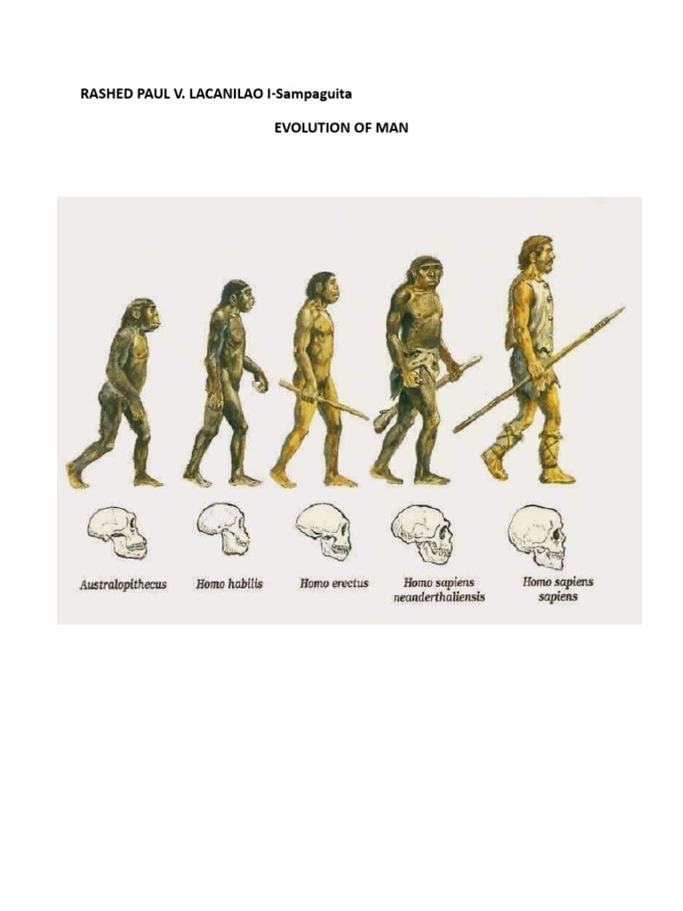 Theory of Man's Evolution | PDF | Young Adult