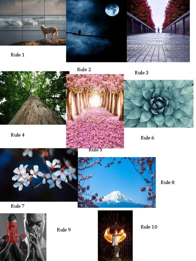 Rules of Photo | PDF