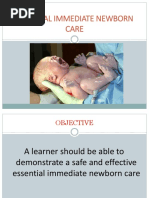 Mummy Restraint Procedure for Newborns | PDF