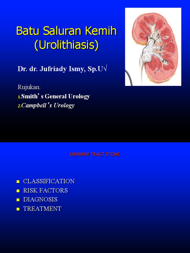 Urolithiasis DR Jufry | PDF | Urology | Medical Specialties