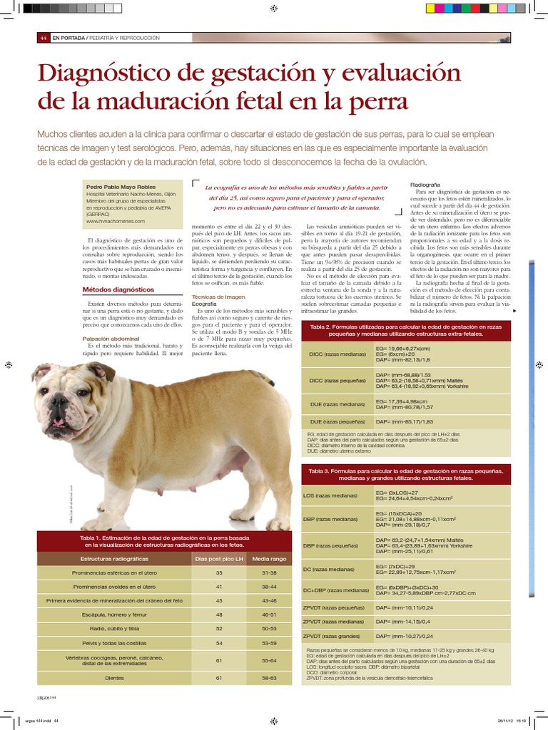 Diagnóstico de gestación en perras | PDF | El embarazo | Placenta