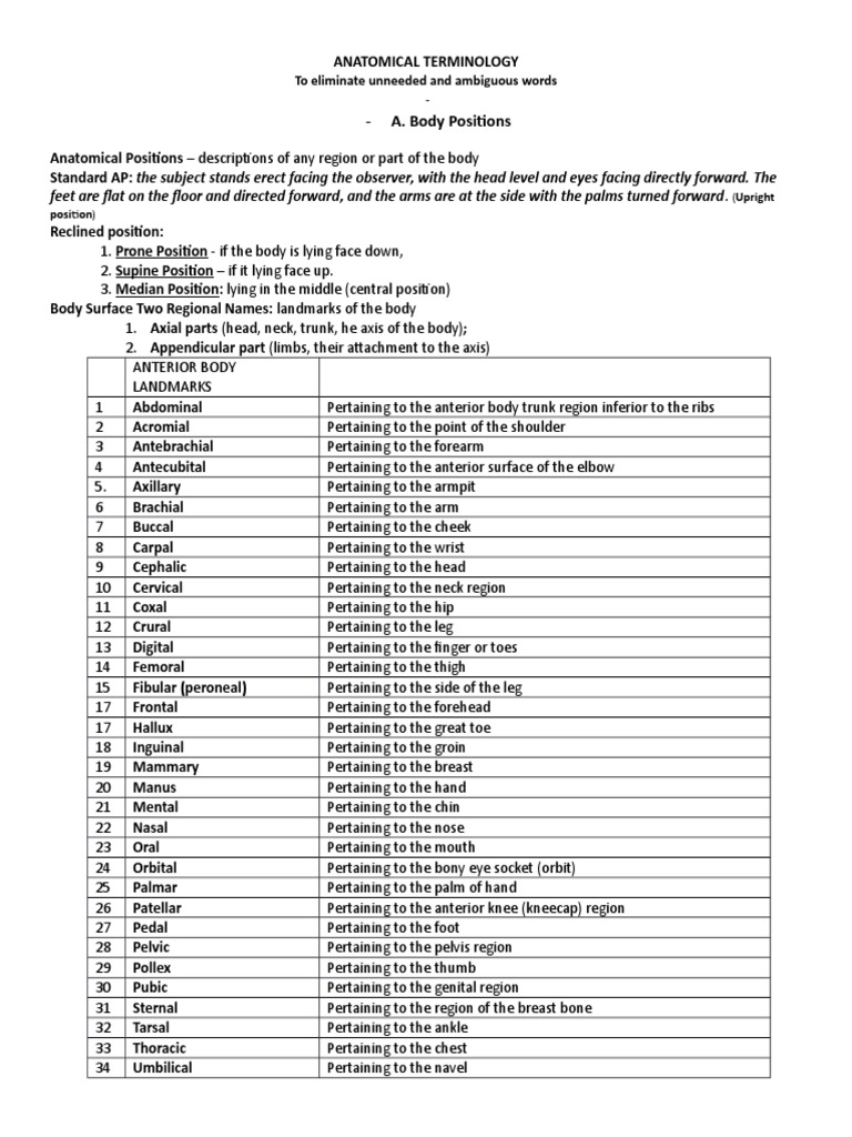 Anatomical Terms | PDF | Anatomical Terms Of Motion | Anatomical Terms ...