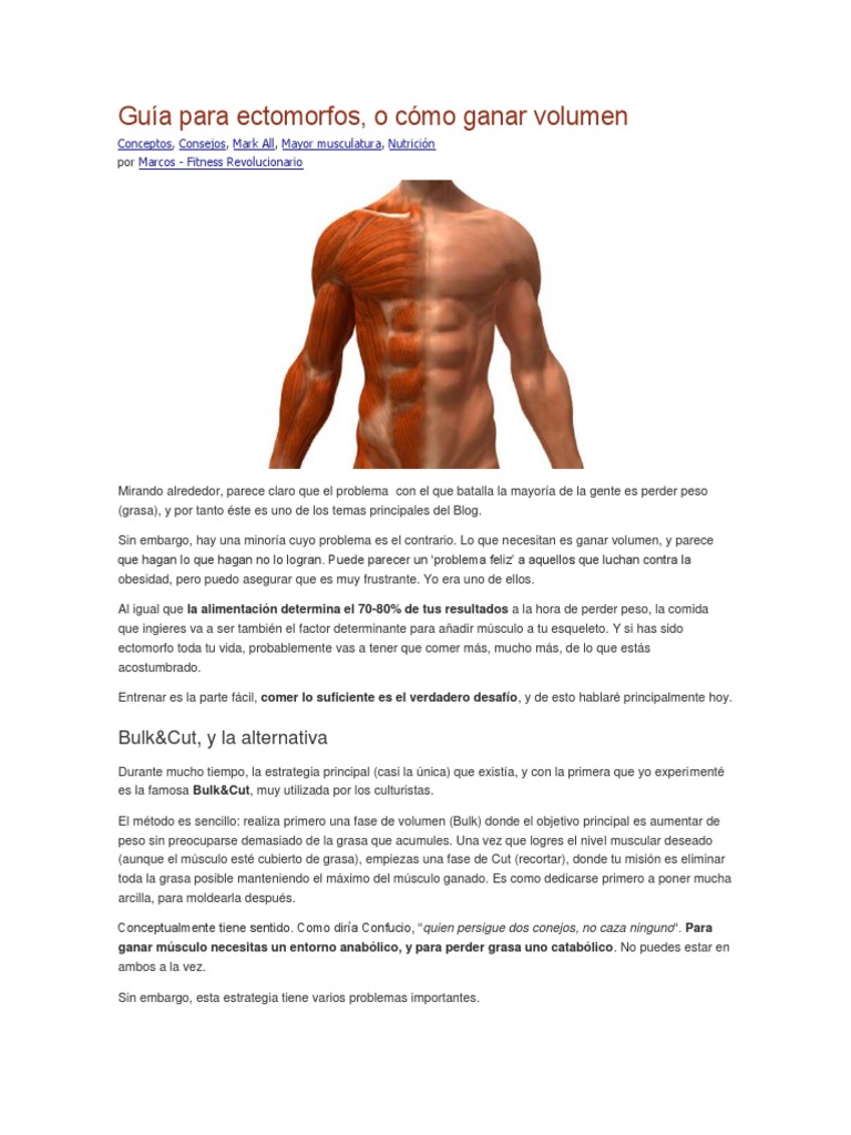 Guía para Ectomorfos | PDF | Leche | Tejido adiposo