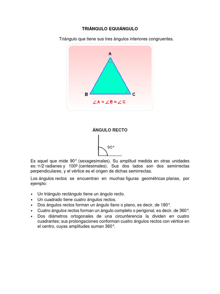 Triángulo Equiángulo | PDF | Ángulo | Triángulo
