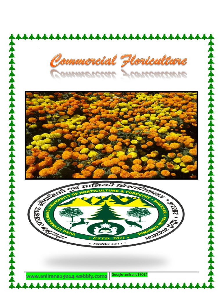Commercial Floriculture PDF | PDF | Flowers | Agriculture