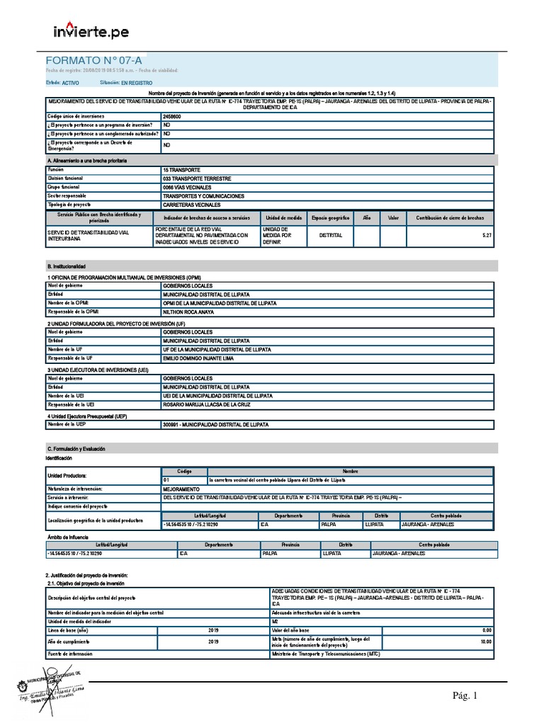 Formato Invierte Pe Firmado | PDF | Valor presente neto | Economias