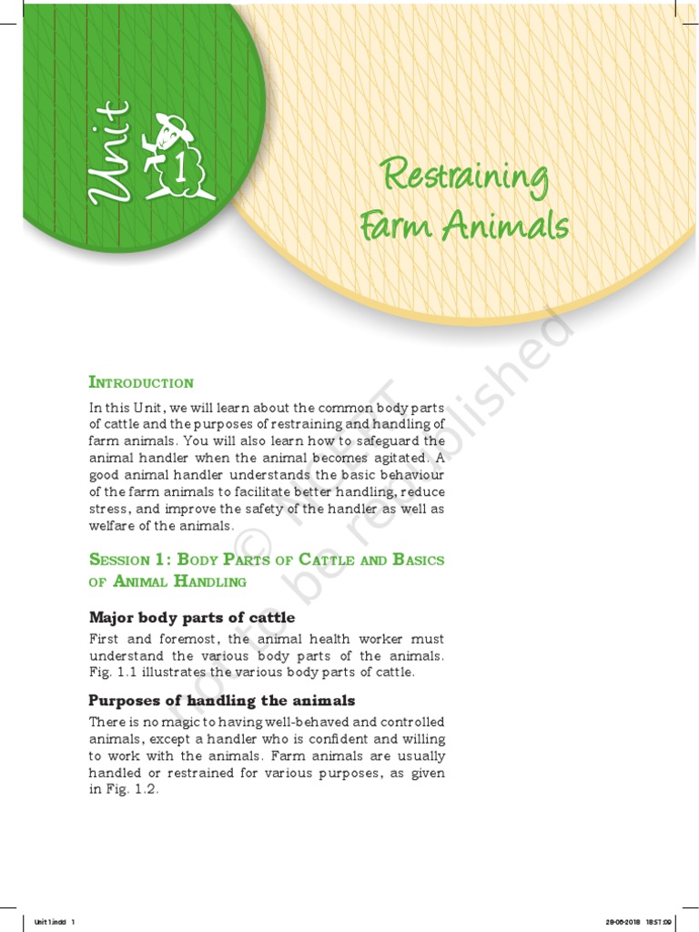Restraining Farm Animals: Major Body Parts of Cattle | PDF | Cattle ...