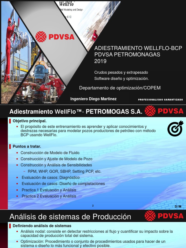 1adiestramiento Wellflo BCP | PDF | Petróleo | Optimización Matemática