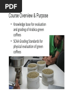 SCA CVA Forms - English - 06.24 (Secured) | PDF | Taste | Vanilla