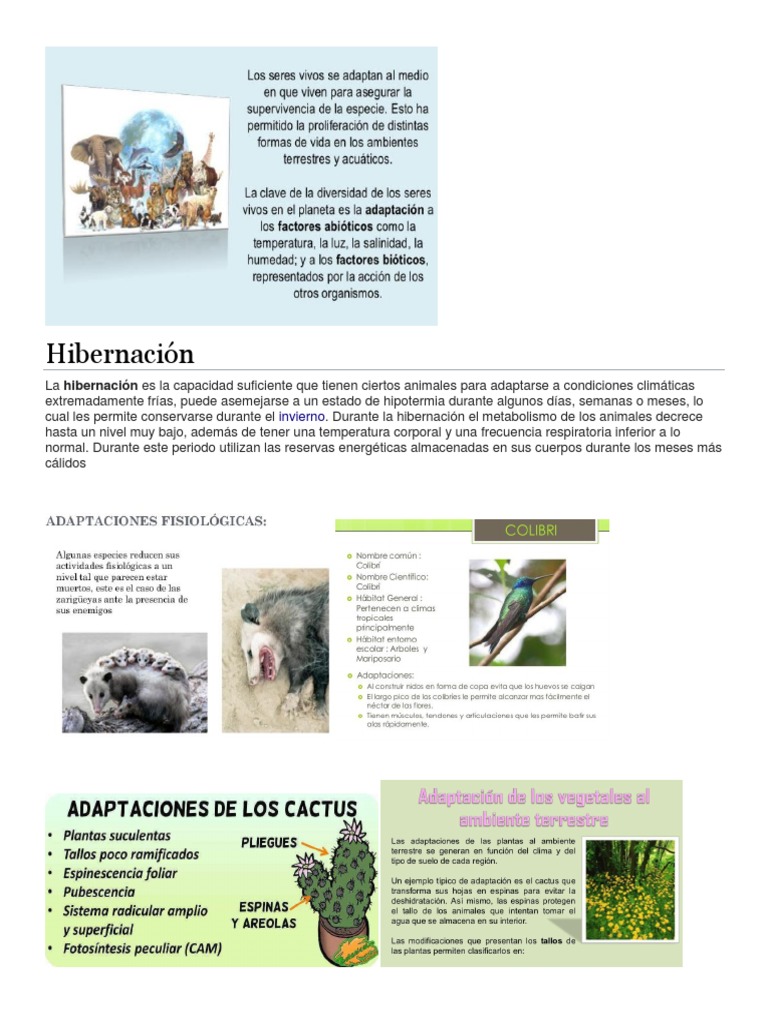 Adaptacion Animal y Plantas | PDF