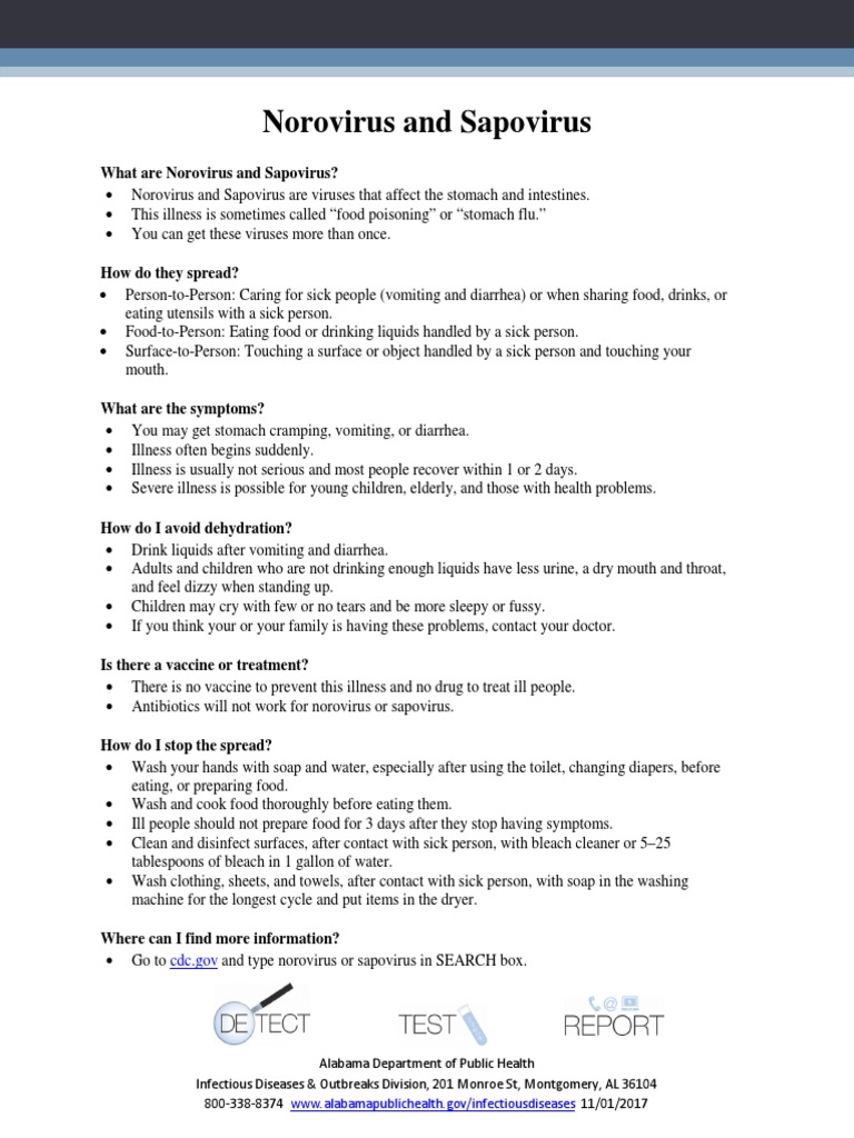 Norovirus and Sapovirus Flyer | PDF