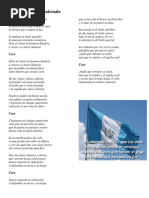Letra Del Himno A Centroamérica | PDF