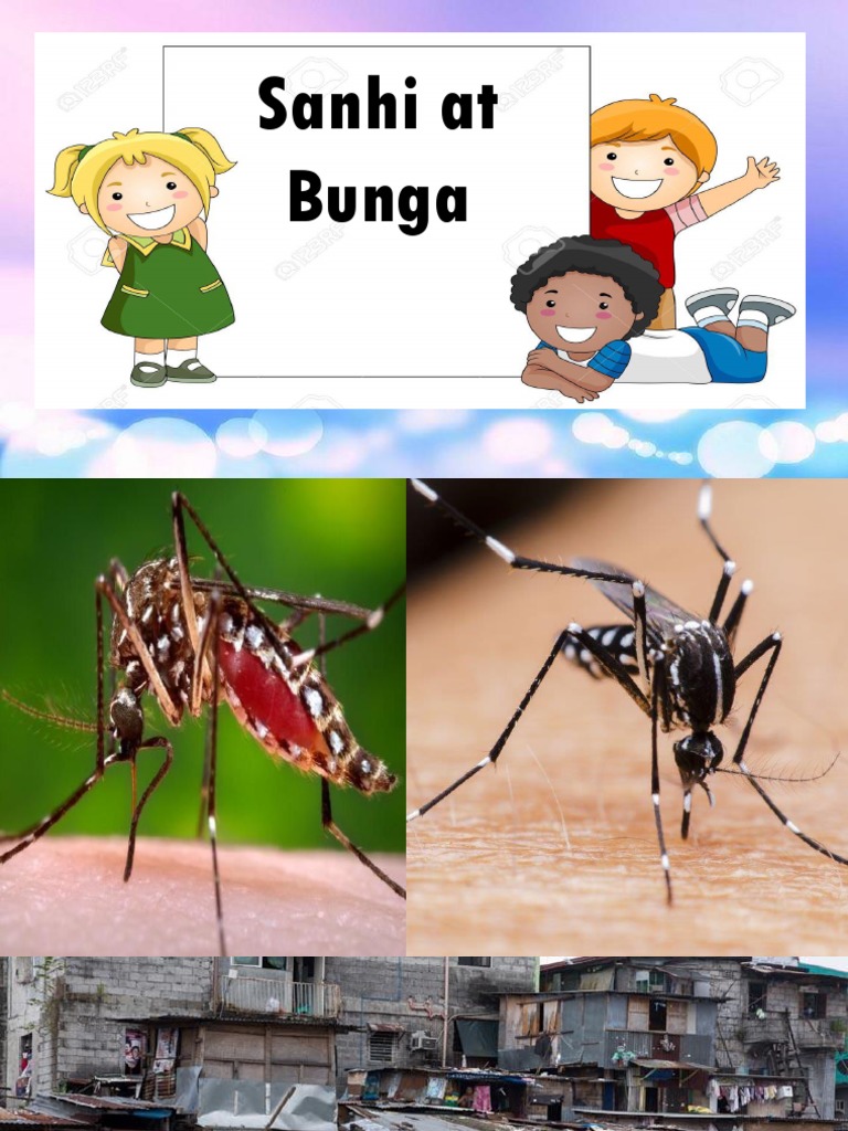 Sanhi at Bunga | PDF