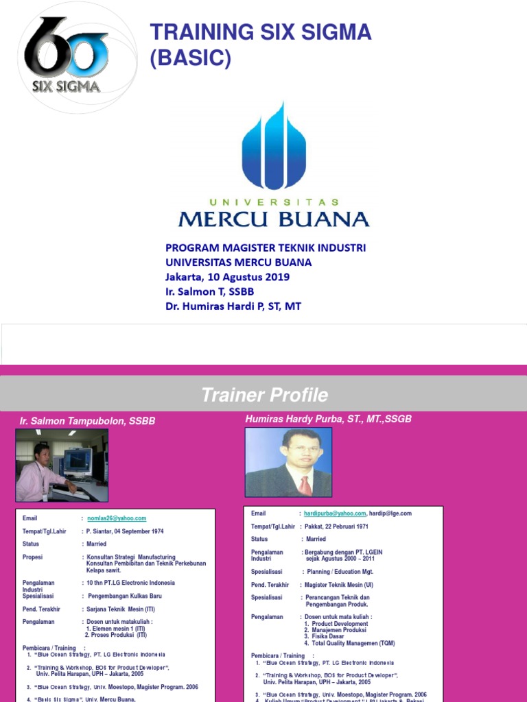 Modul Basic Six Sigma | PDF