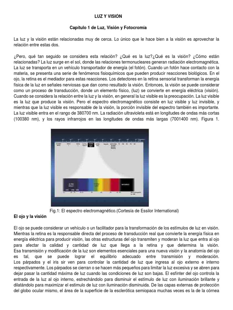 La relación entre la luz y la visión: Cómo la luz se transforma en ...