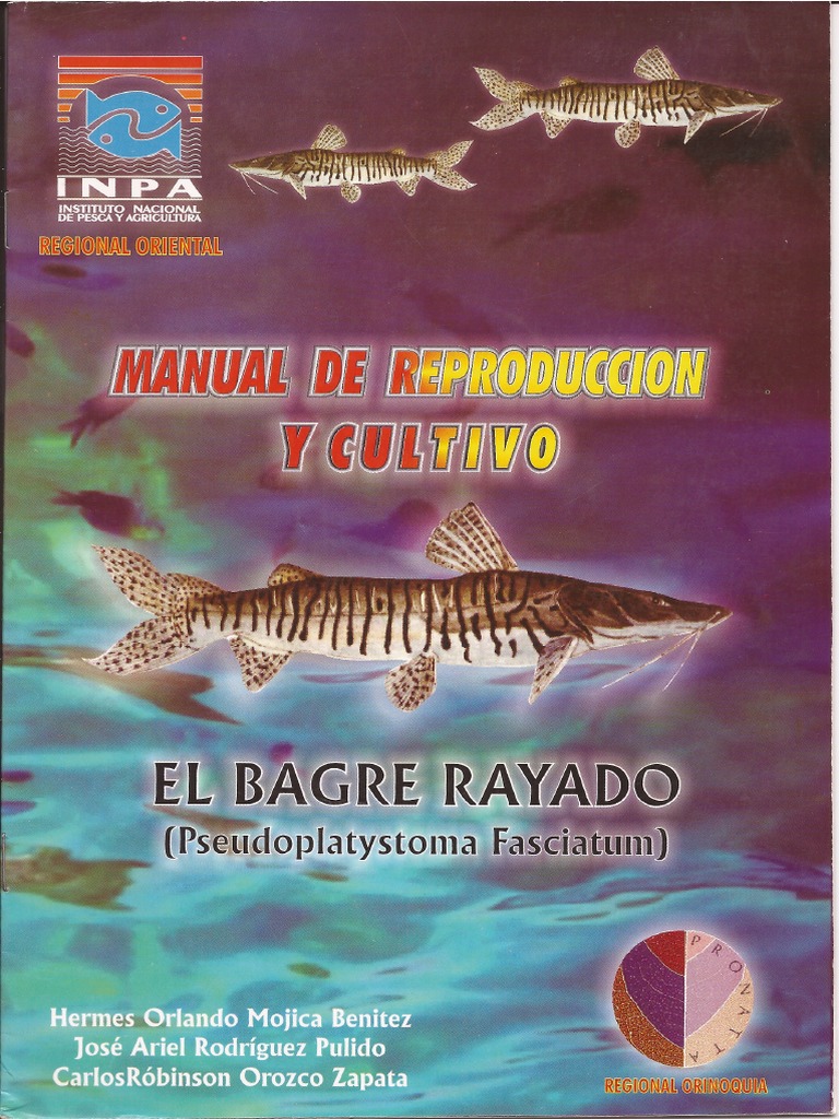 Manual de Reproduccion y Cultivo de Bagre Rayado | PDF