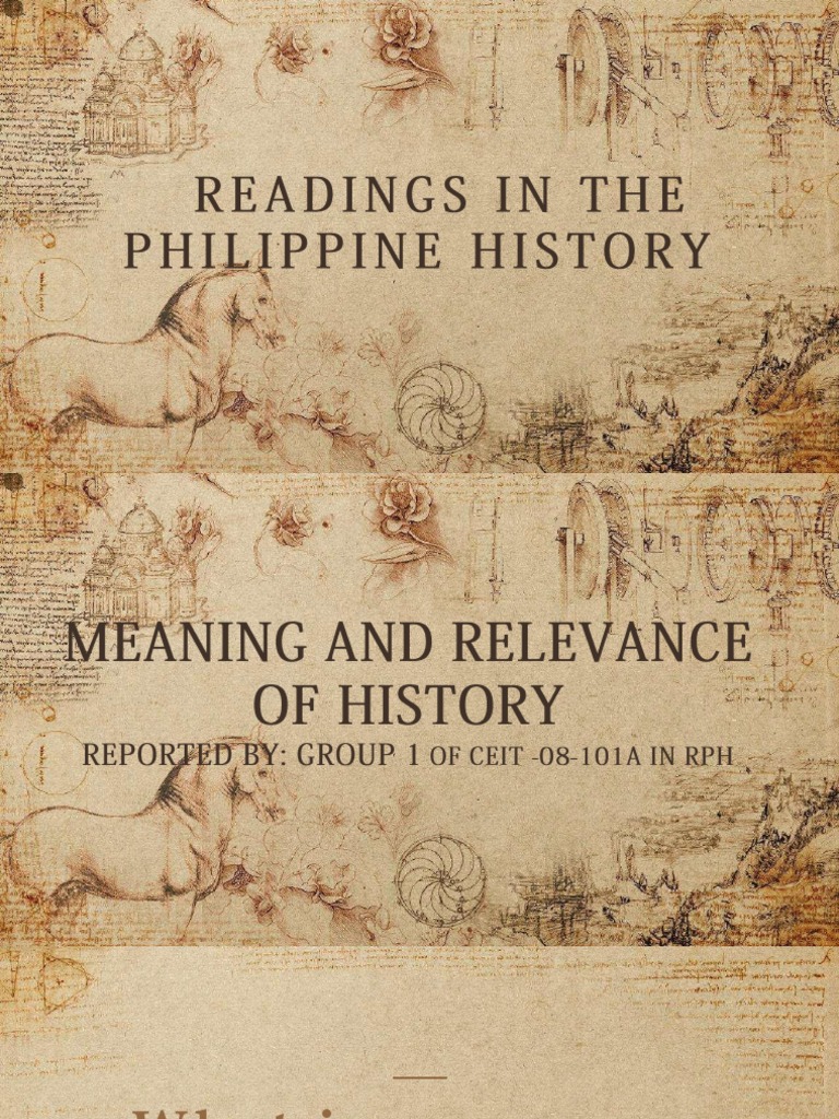 Meaning and Relevance of History | PDF | Primary Sources | Diary