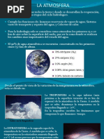 Fisiologia Vegetal Morfogenesis | PDF | Tallo de la planta | Morfogénesis