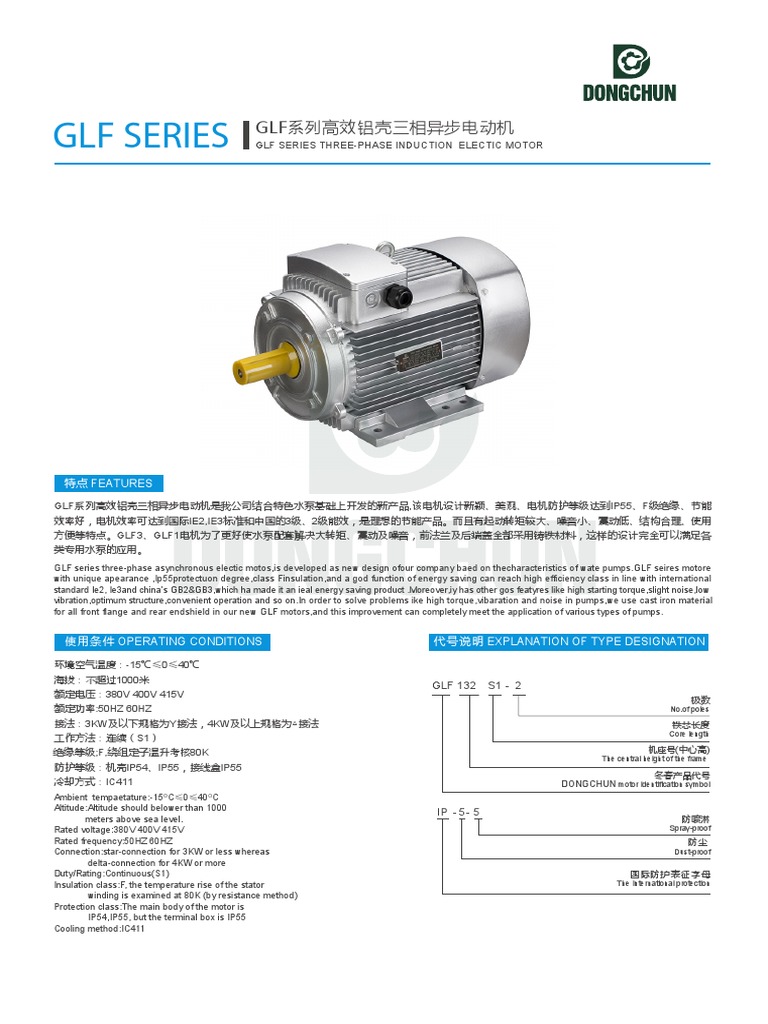 GLF MOTOR From Dongchun | PDF | Electric Motor | Electromagnetism