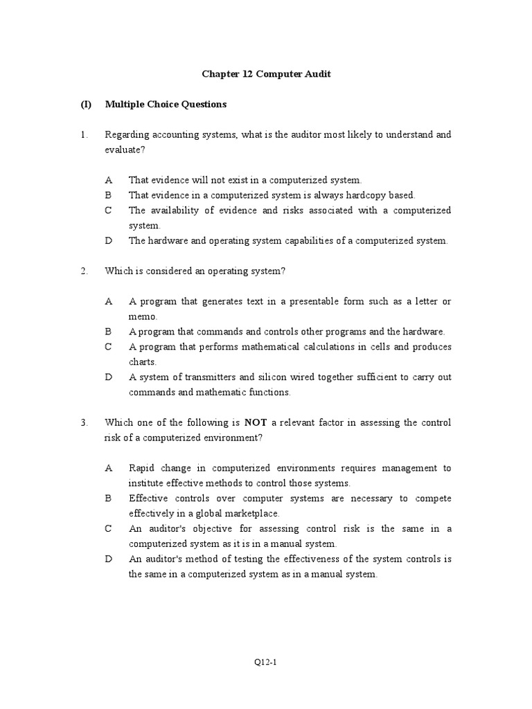 Computerized Audit Exam Questions | PDF | Computer Program | Programming