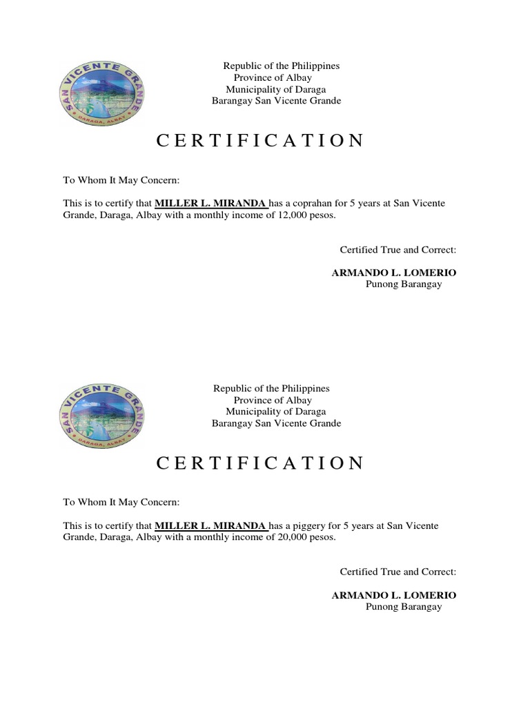 Barangay Certification | PDF