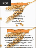 Composition chimique du grain de blé | PDF | Céréale | Blé