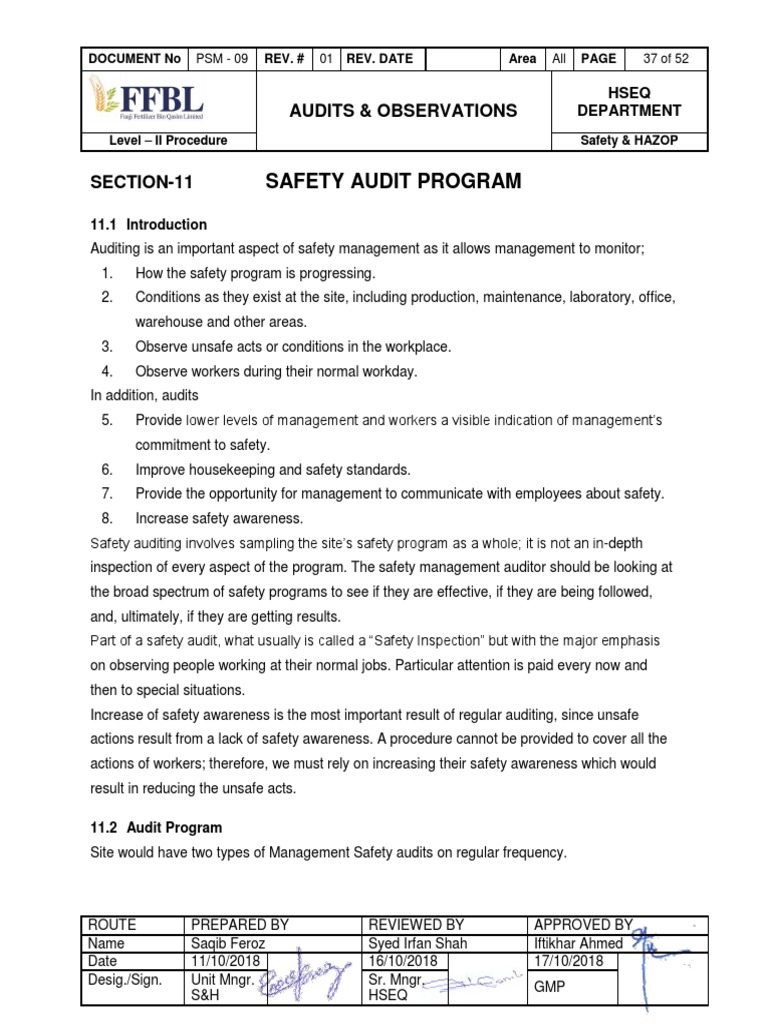 PSM 09 Audits and Observations (MSA) | PDF | Audit | Safety