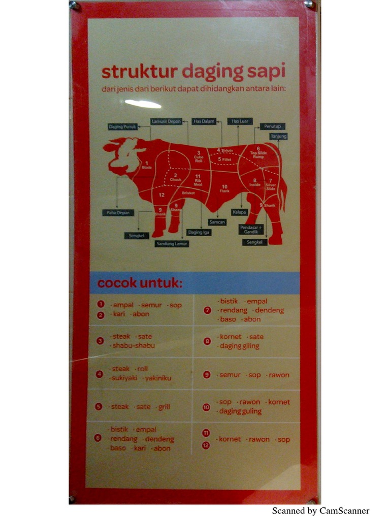Struktur Daging Sapi dan Resep Sop | PDF