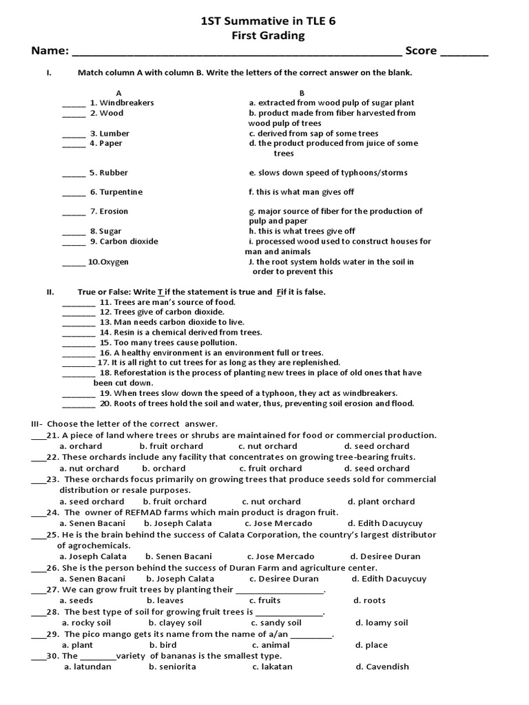 1ST Summative in TLE 6 Agri | Download Free PDF | Trees | Orchard