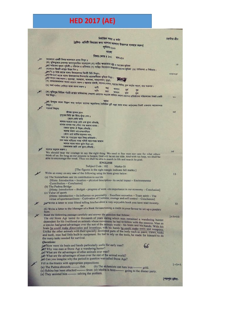 LGED HED EED Question Pattern | PDF