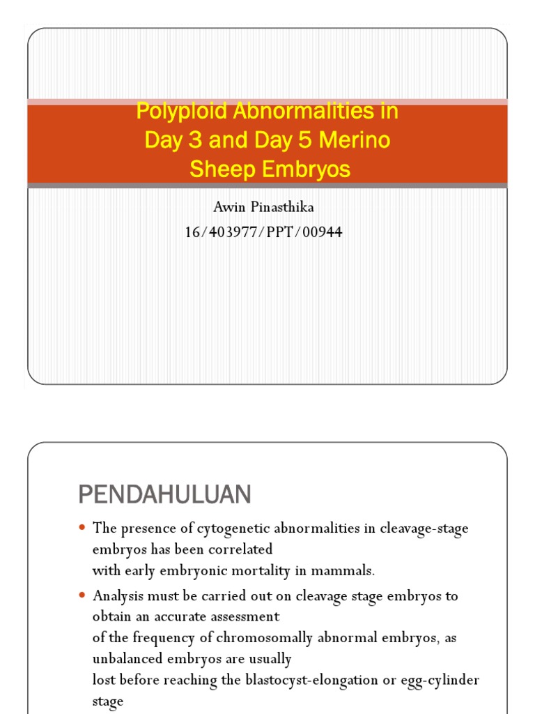 Polyploid Abnormalities in Day 3 and Day 5 Merino Sheep Embryos | PDF ...