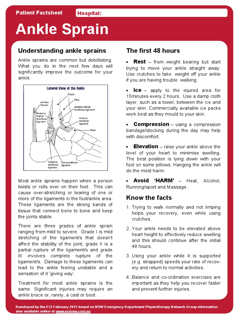 Ankle Sprain: Understanding Ankle Sprains The First 48 Hours | PDF ...
