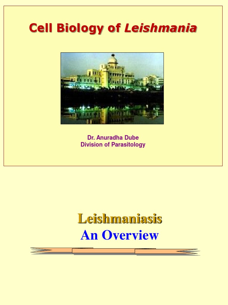 Leishmaniasis and Its Cell Biology 5.10 | PDF | Macrophage | T Helper Cell