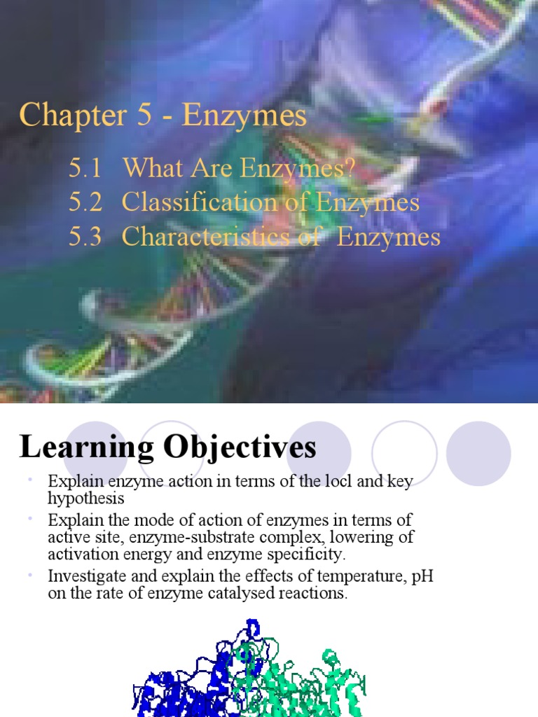 Chapter 5 - Enzymes | PDF | Enzyme | Active Site
