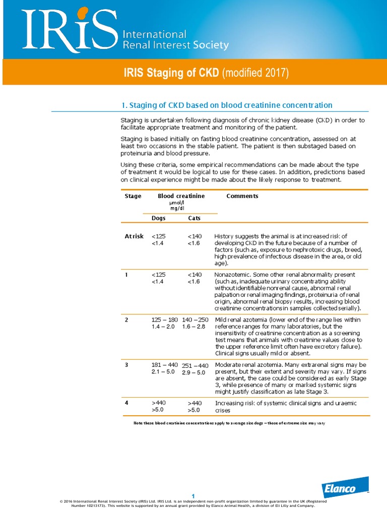 Iris | PDF | Hypertension | Chronic Kidney Disease
