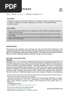 Cellulitis and Skin Abscess in Adults - Treatment - UpToDate | PDF ...