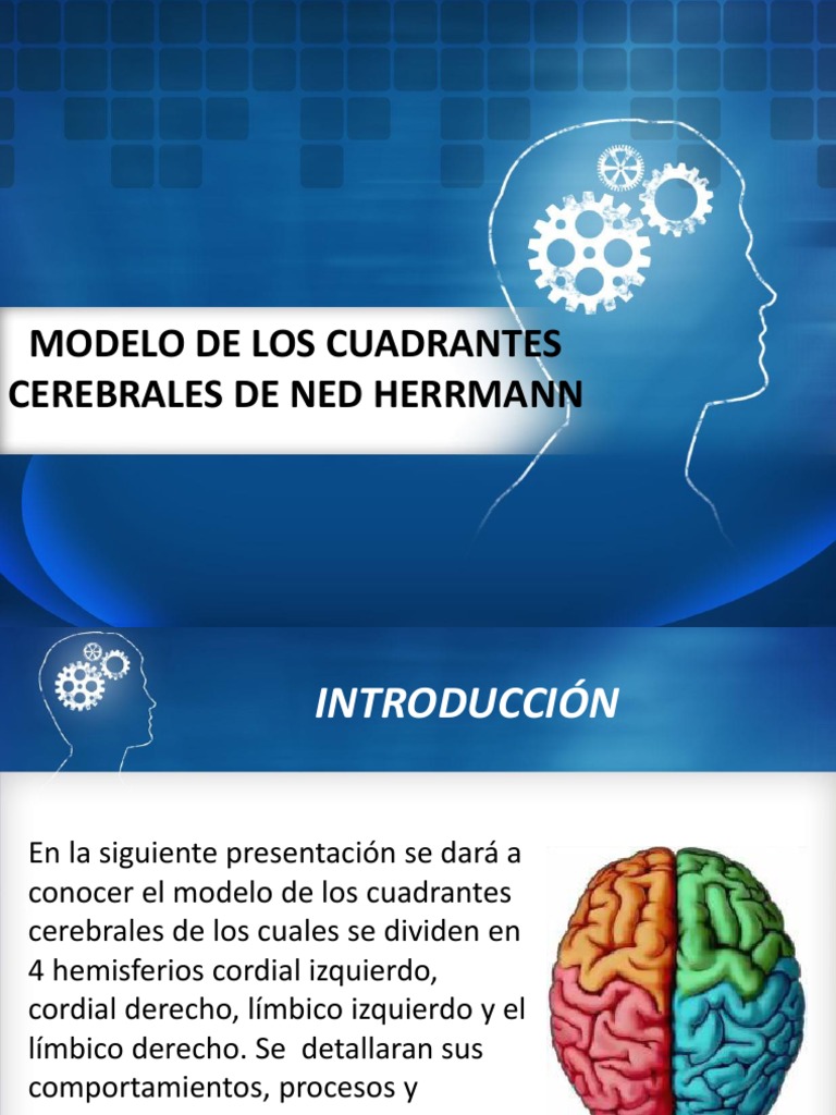 Modelo de Los Cuadrantes Cerebrales de Hermnn | PDF | Cerebro ...