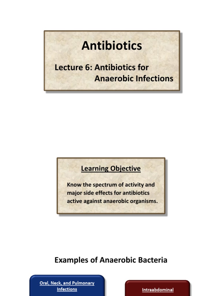 Antibiotics: Lecture 6: Antibiotics For Anaerobic Infections | PDF ...