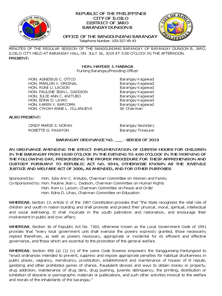 Curfew Ordinance | PDF | Child Custody | Legal Guardian