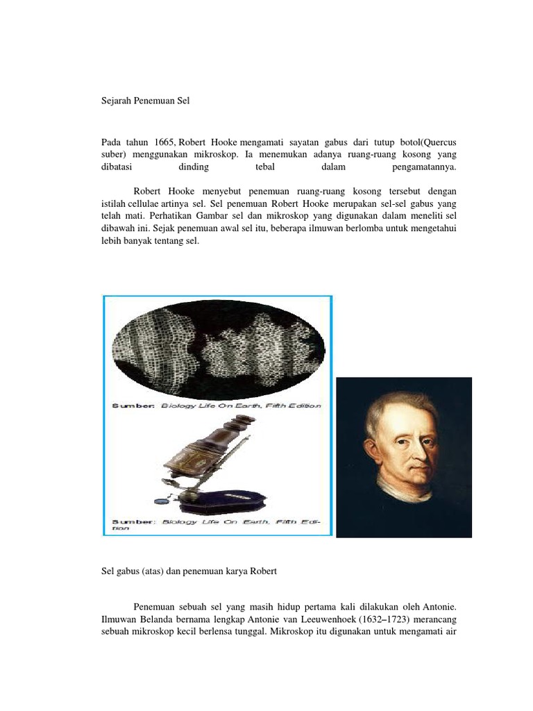 Teori Sel (Bio) | PDF