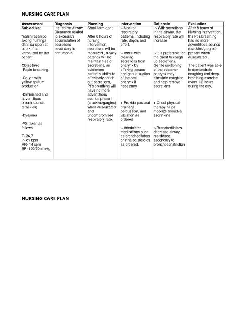 NCP-Ineffective Airway Clearance | Download Free PDF | Respiratory Tract | Breathing