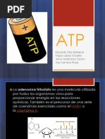 Funciones y síntesis del ATP en células | PDF | Trifosfato de adenosina ...
