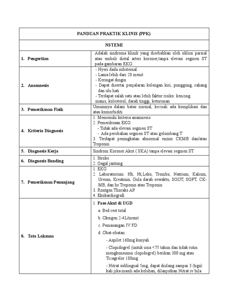 PPK Nstemi | PDF
