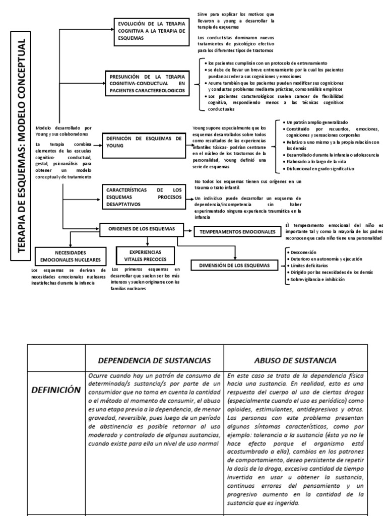 Terapia de Esquemas Modelo Conductia | PDF | Psicoterapia | Drogas