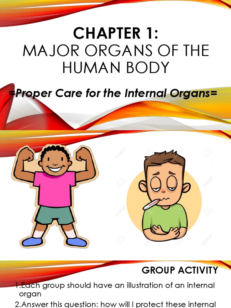 LESSON 19 - Proper Care For The Internal Organs | PDF | Healthy Diet ...