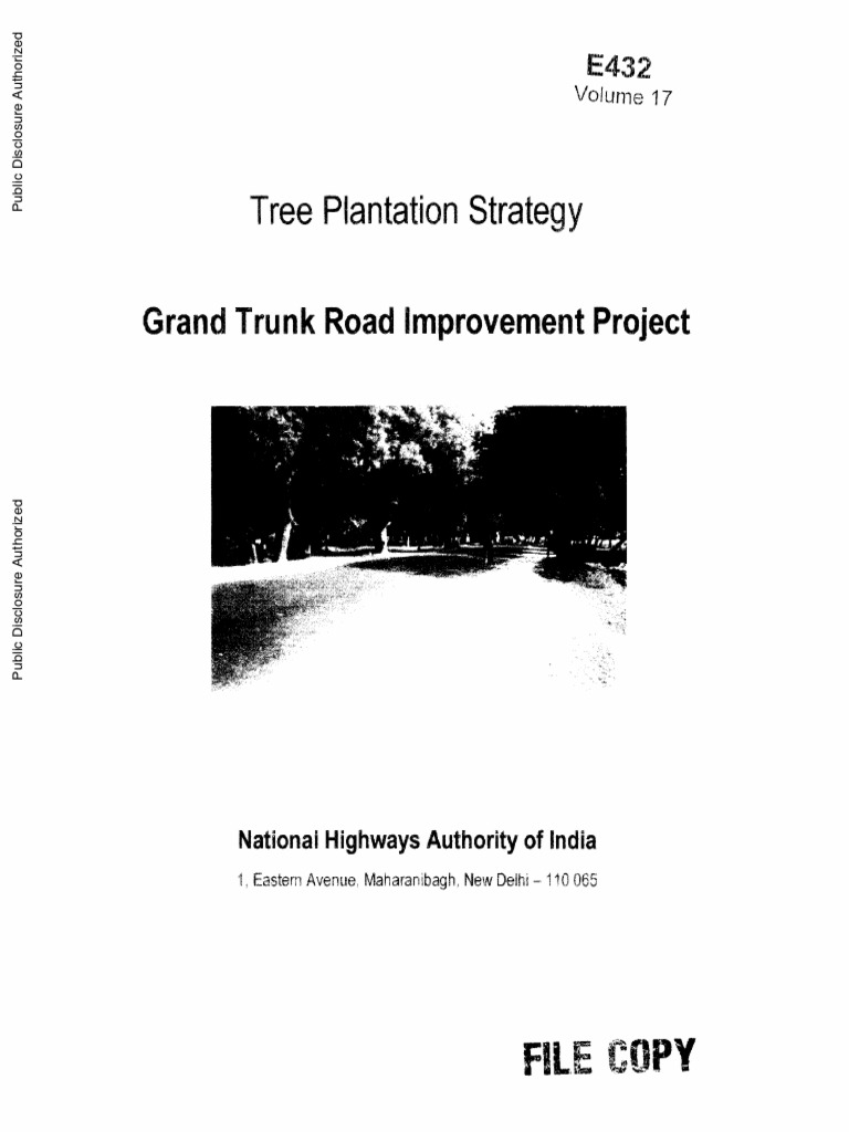 Tree Plantation Strategy - GTR | PDF | Trees | Road