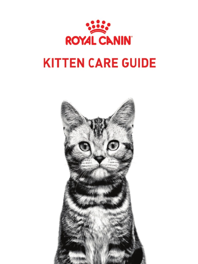 Royal Canin Kitten Guide | PDF